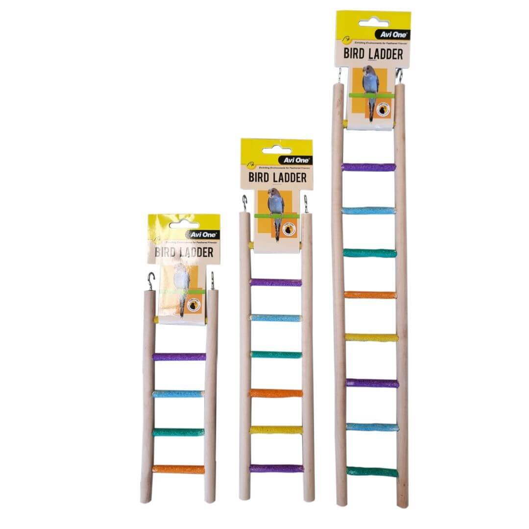 Ladders – Queenslander Aviaries