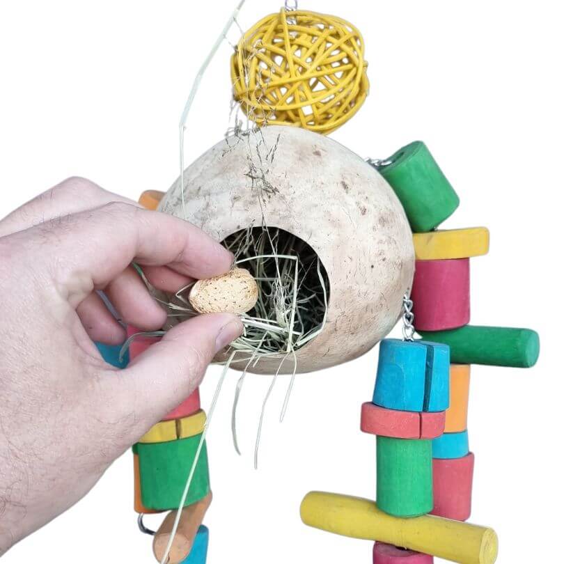 Coco Robot Forager – Queenslander Aviaries