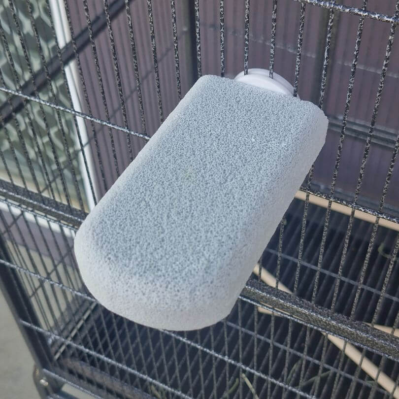 Lava Platform Perch – Queenslander Aviaries