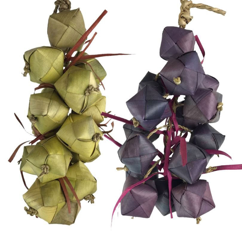 Palm Nuts – Queenslander Aviaries