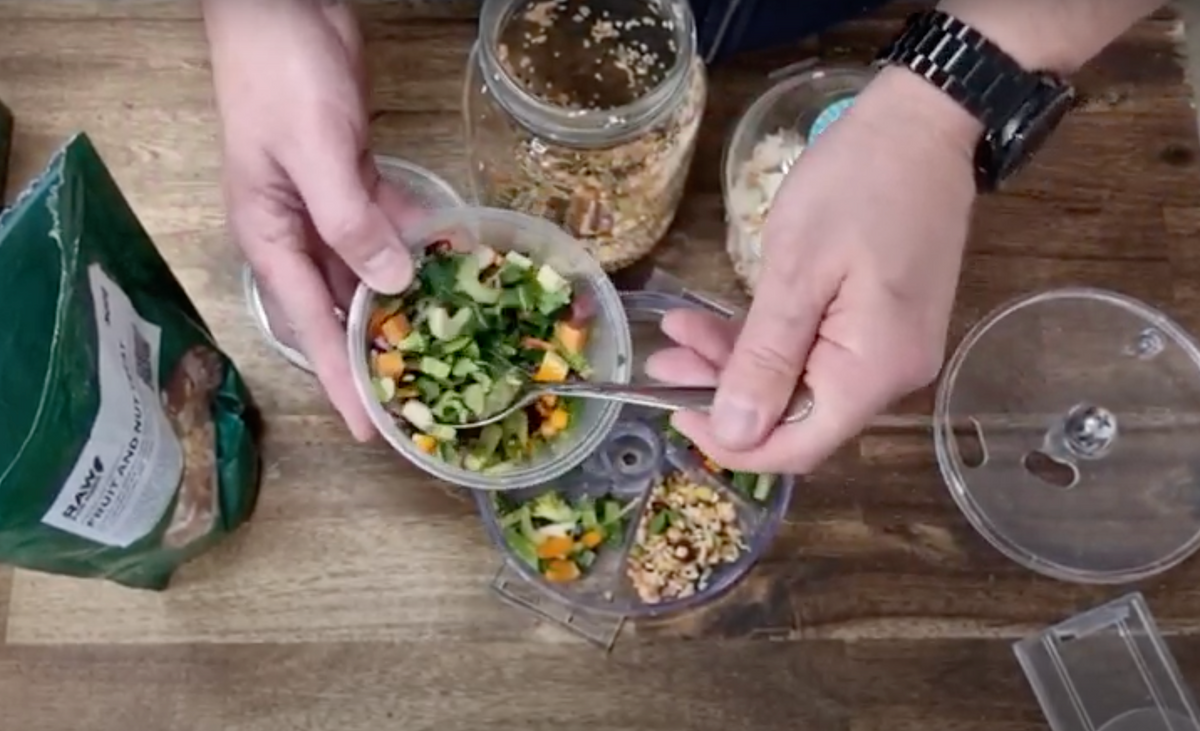 How to set up a Foraging Wheel – Queenslander Aviaries