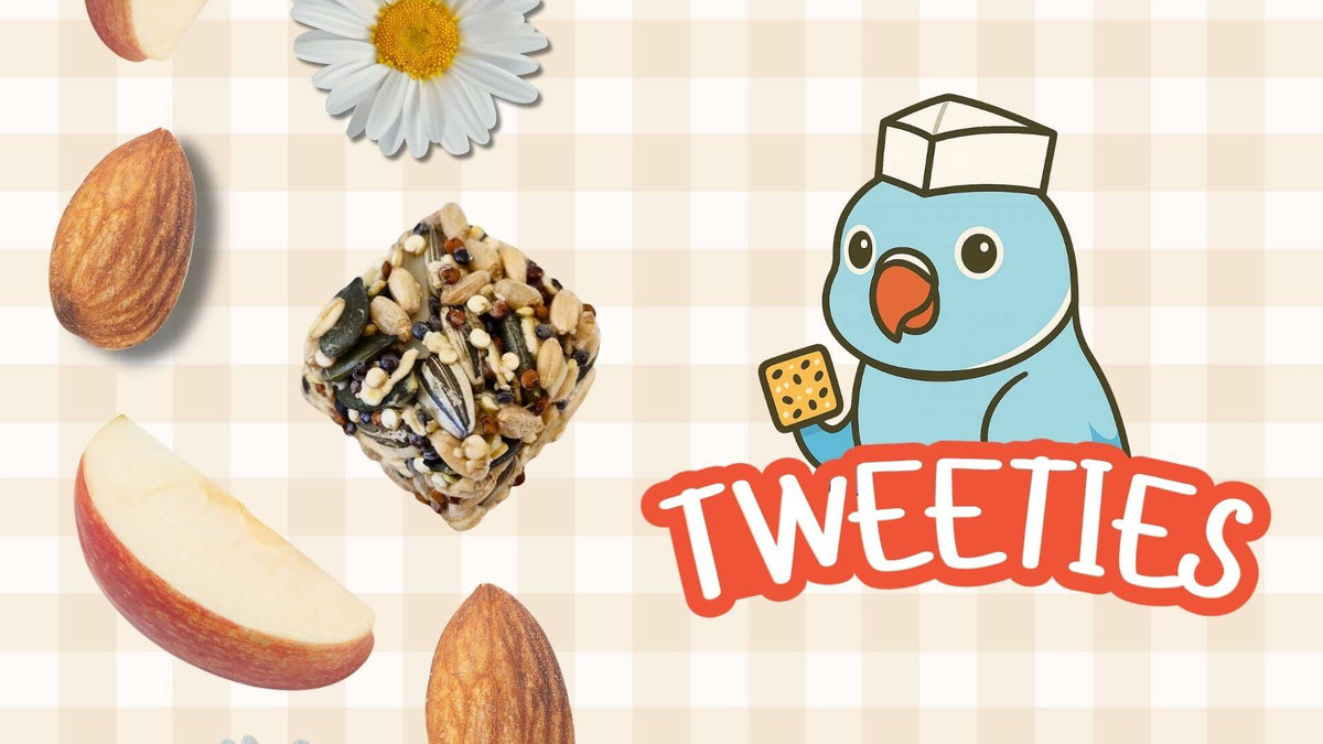 Foraging Fun with Tweeties Bird Treats – Handmade in Brisbane ...