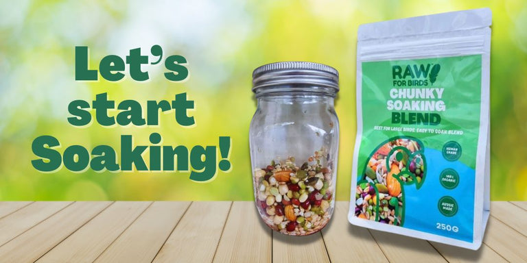 Guide to Soaking Seed for Birds – Queenslander Aviaries