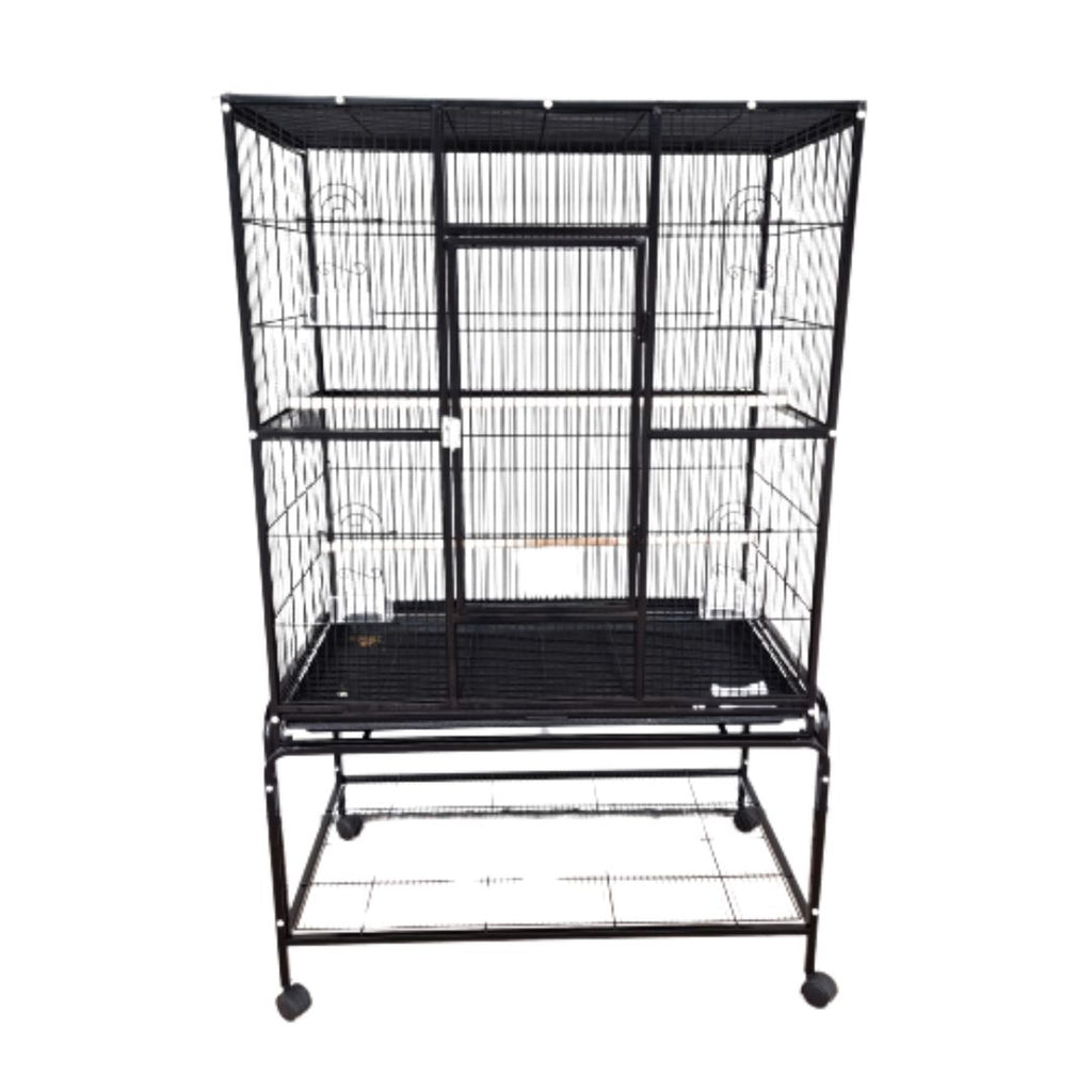 Collections – Queenslander Aviaries