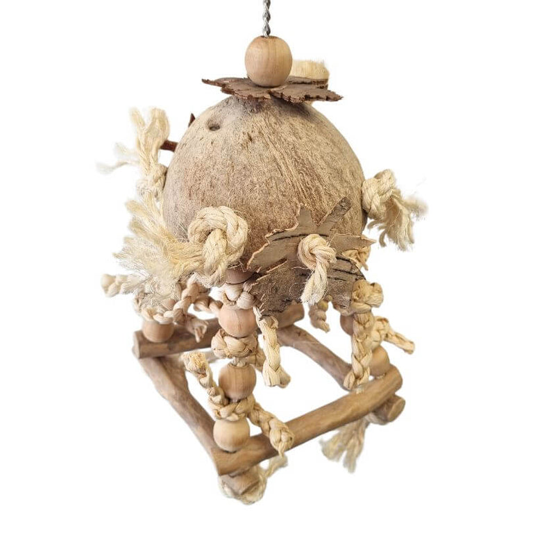 Swings – Queenslander Aviaries