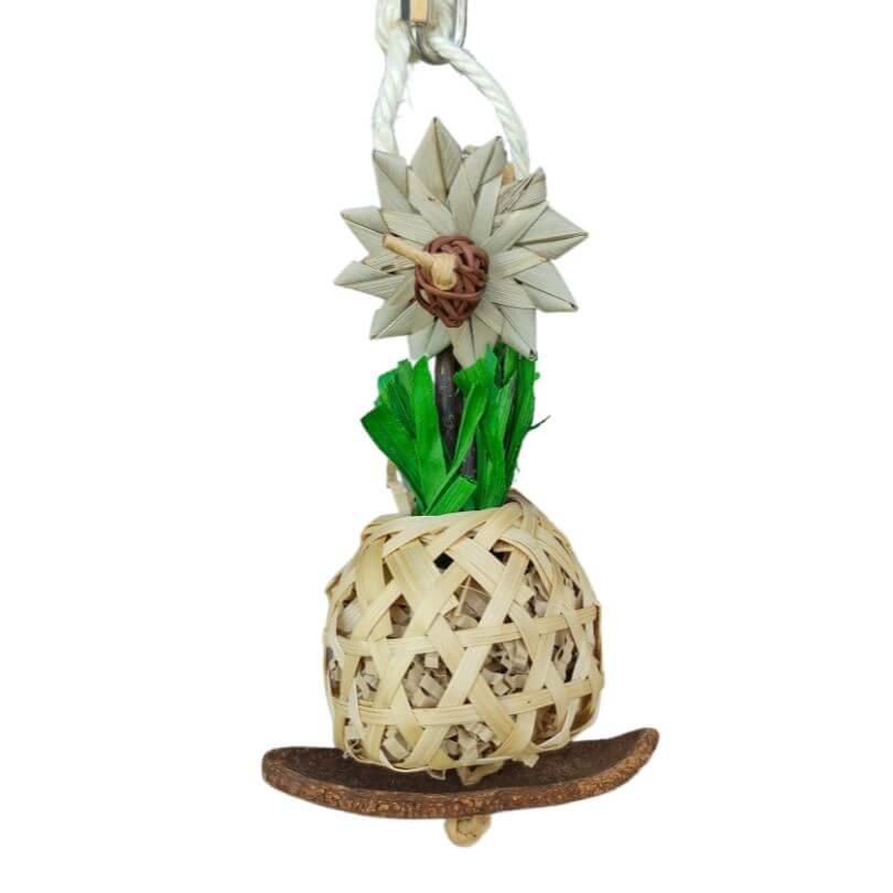 Bamboo Flower Vase – Queenslander Aviaries