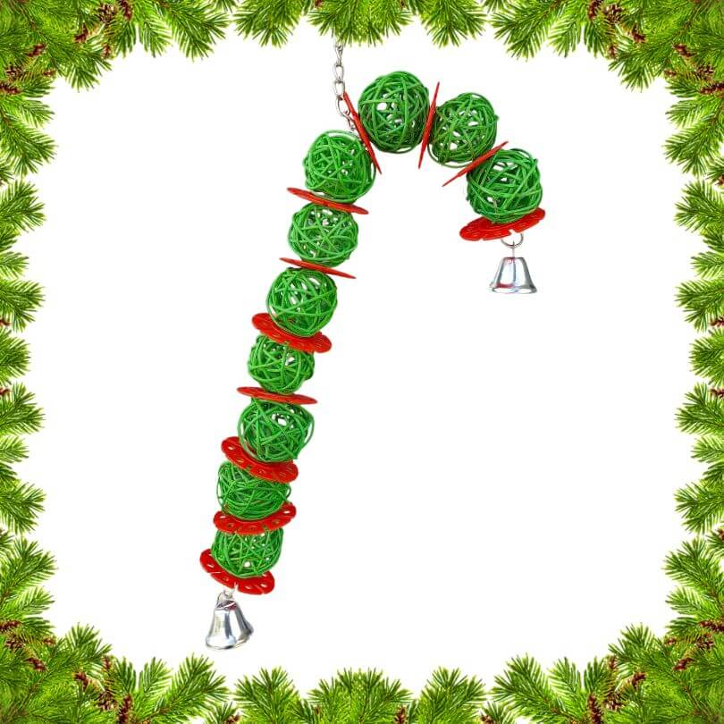 Queenslander Aviaries