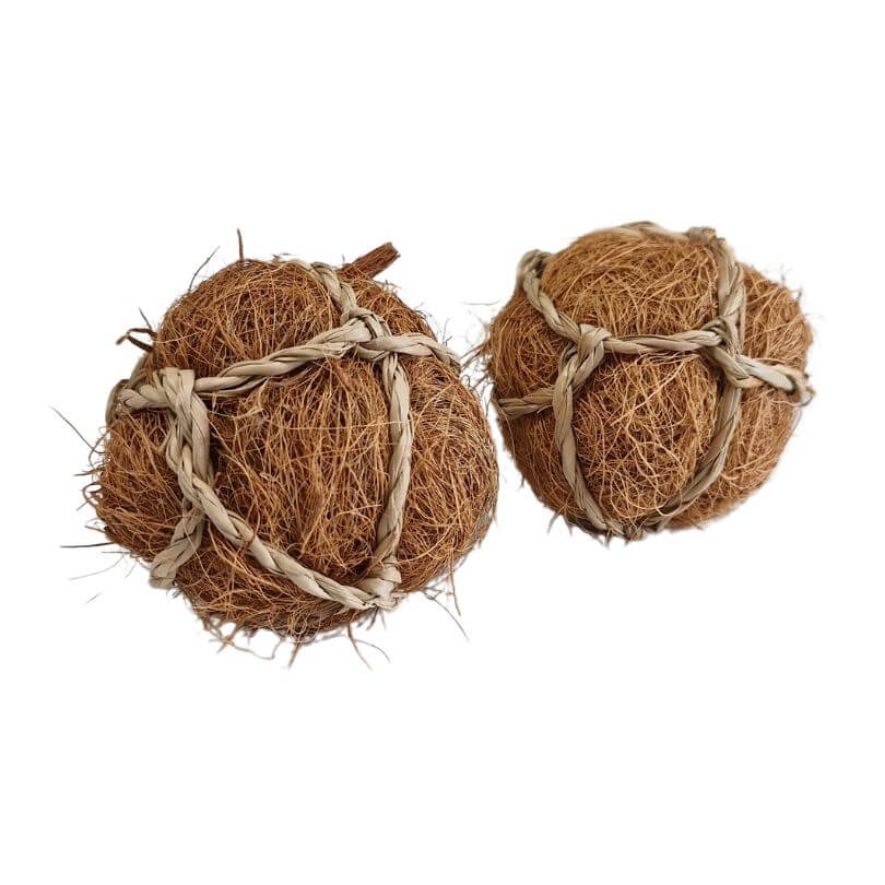 Coco Balls 2pk – Queenslander Aviaries