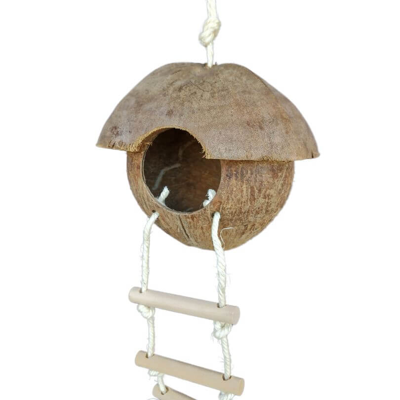 Coconut Hut and Ladder – Queenslander Aviaries