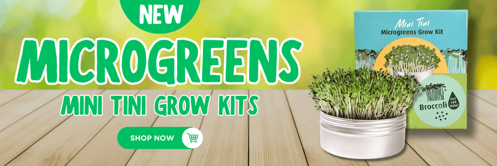 Queenslander Aviaries