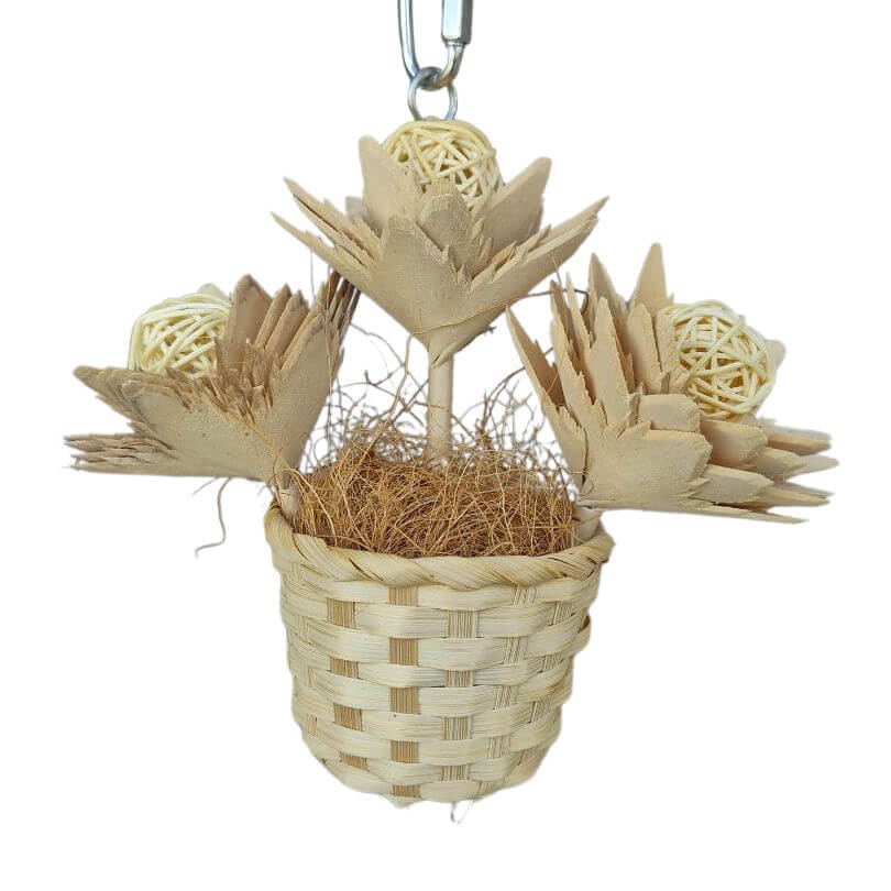 Daisy Flower Pot – Queenslander Aviaries