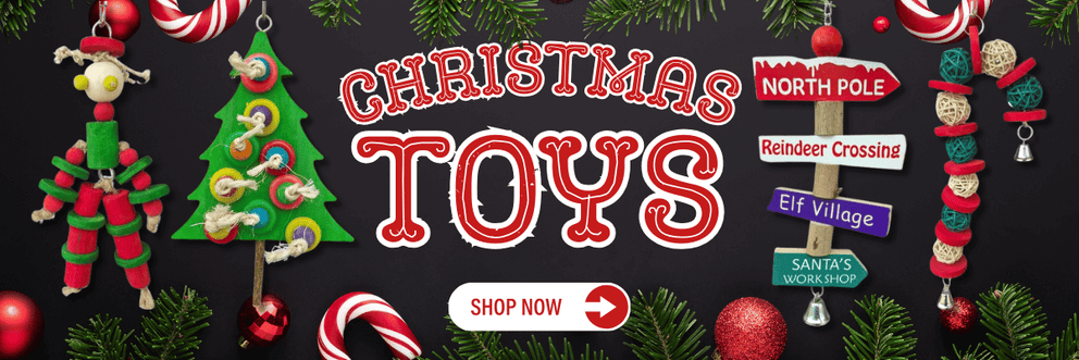 Queenslander Aviaries