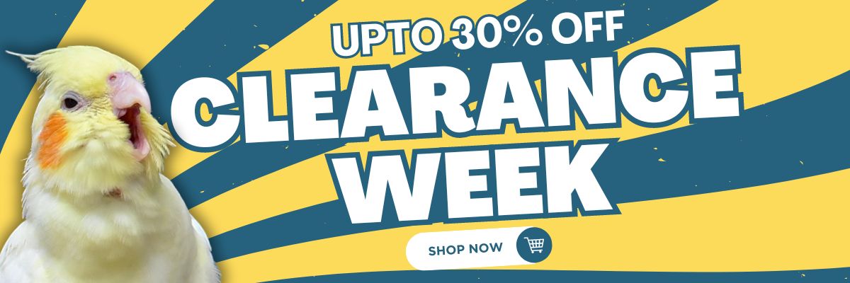 Queenslander Aviaries