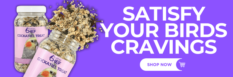 Queenslander Aviaries