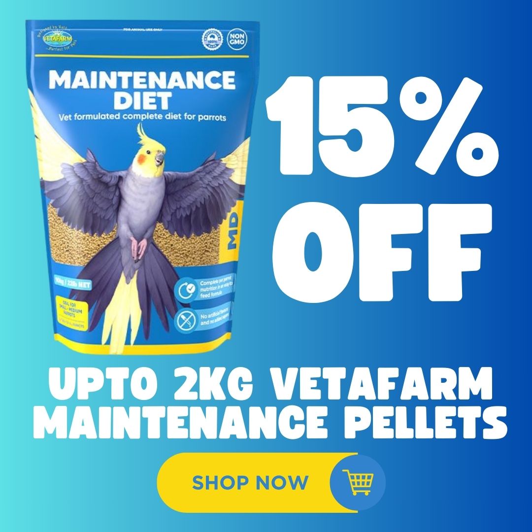 Queenslander Aviaries