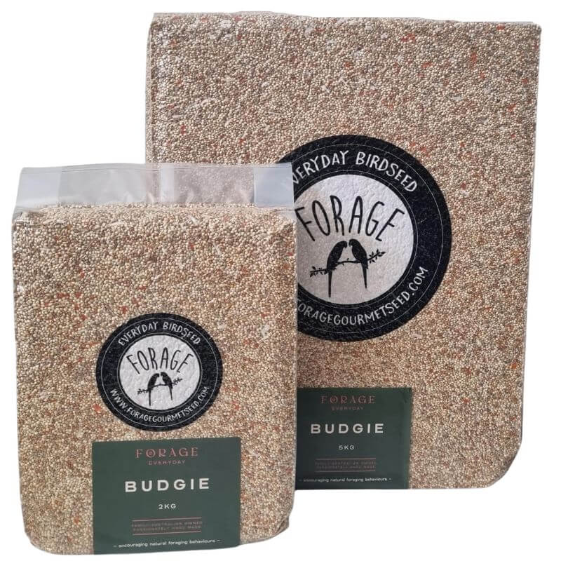 Forage Everyday Budgie Blend – Queenslander Aviaries
