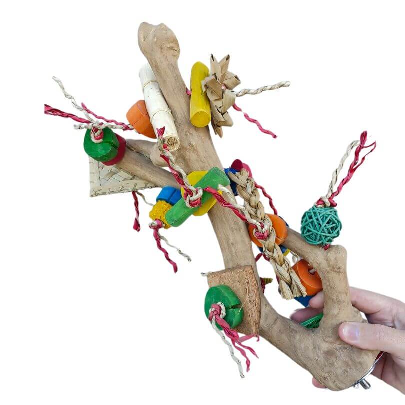 Wood Perches – Queenslander Aviaries