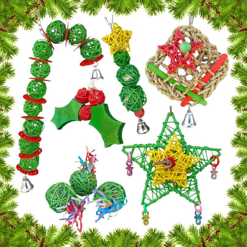 Jingle Bird Christmas Bundle – Queenslander Aviaries