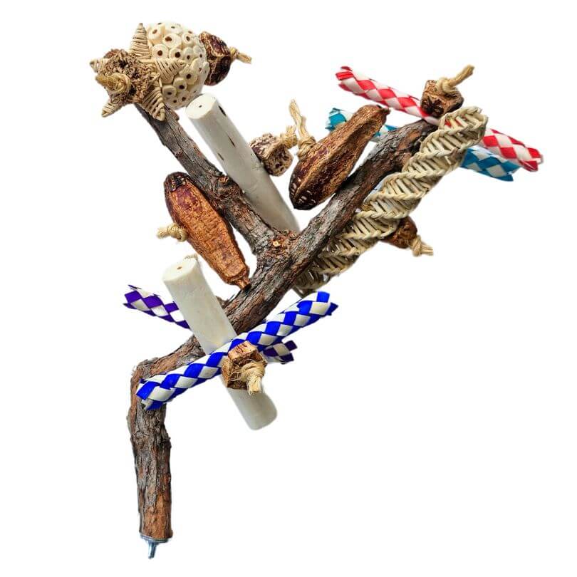 Wood Perches – Queenslander Aviaries