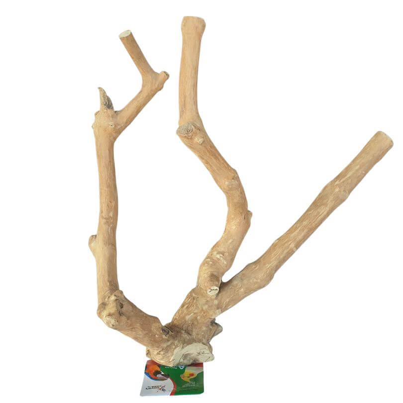 Java Wood Multi Perch Large – Queenslander Aviaries