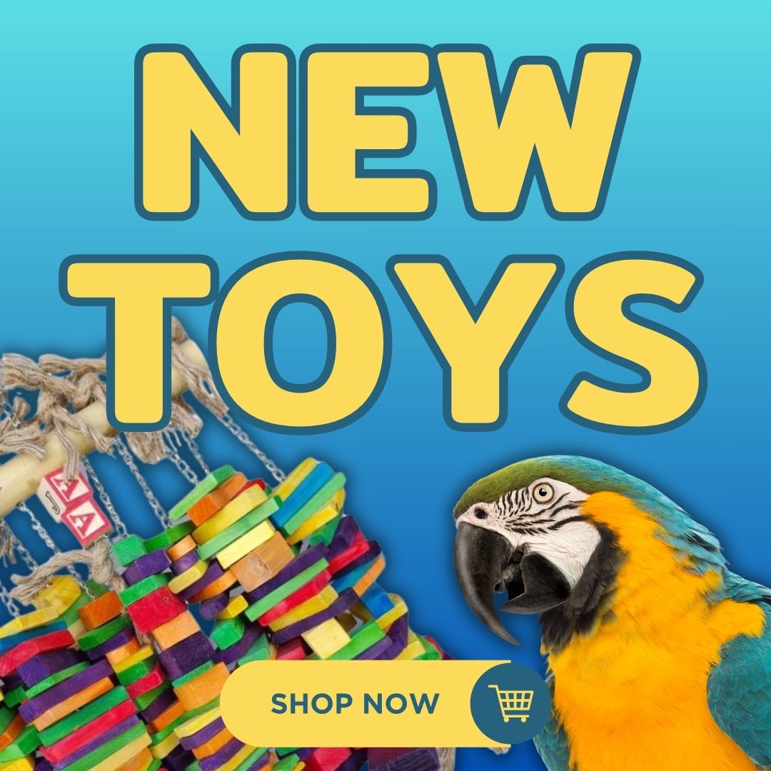 Queenslander Aviaries