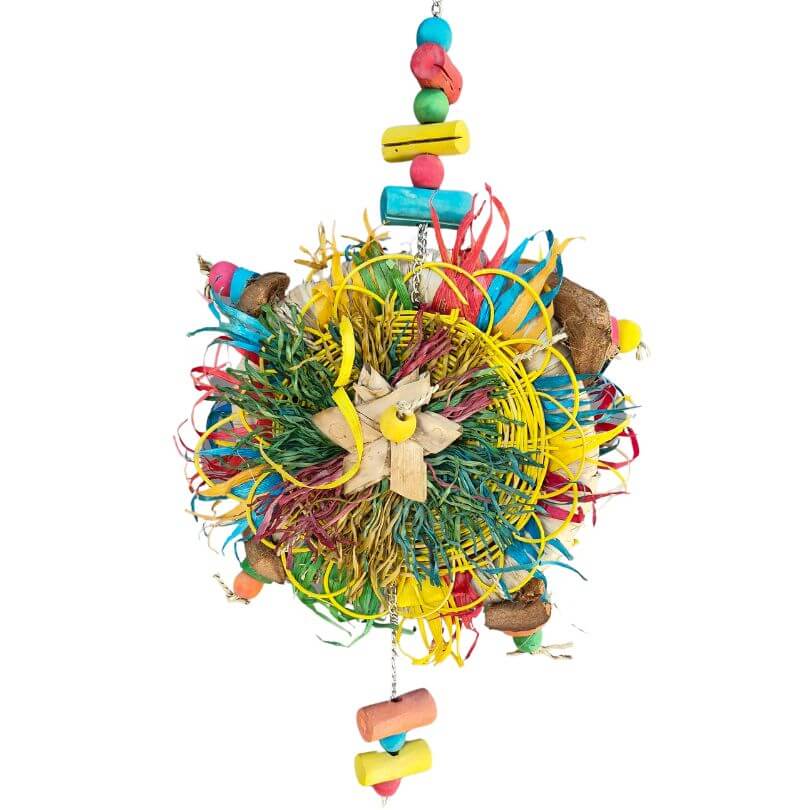 Parrot Pizza Plate – Queenslander Aviaries