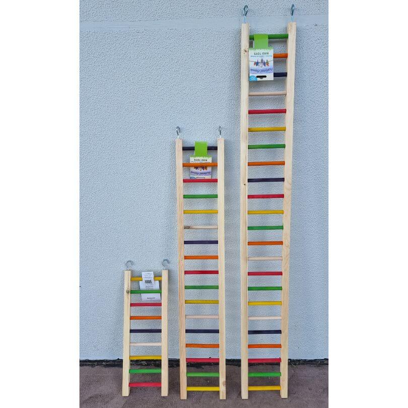 Giant Rainbow Ladders – Queenslander Aviaries
