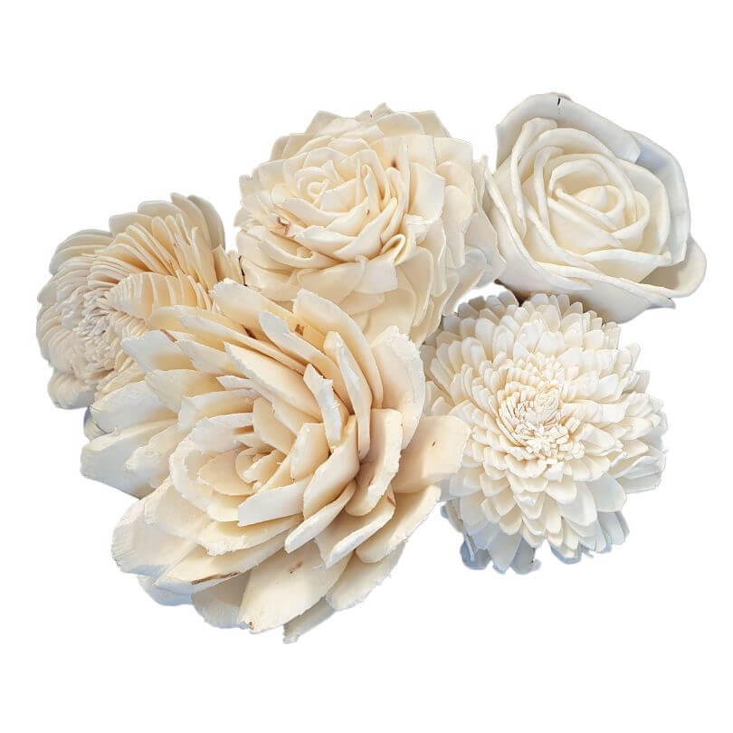 Sola Flowers 5pk – Queenslander Aviaries