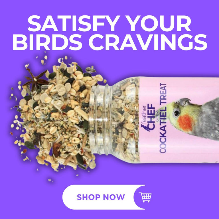 Queenslander Aviaries