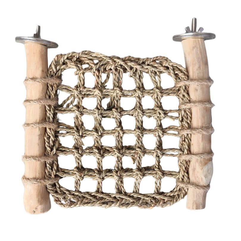 Java Trampoline – Queenslander Aviaries