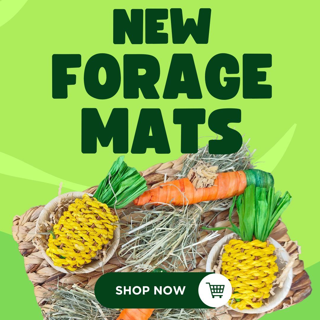 Queenslander Aviaries