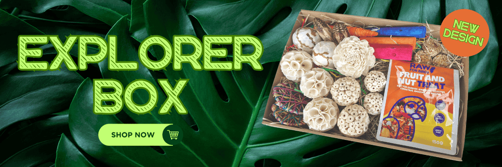 Shop all – Queenslander Aviaries