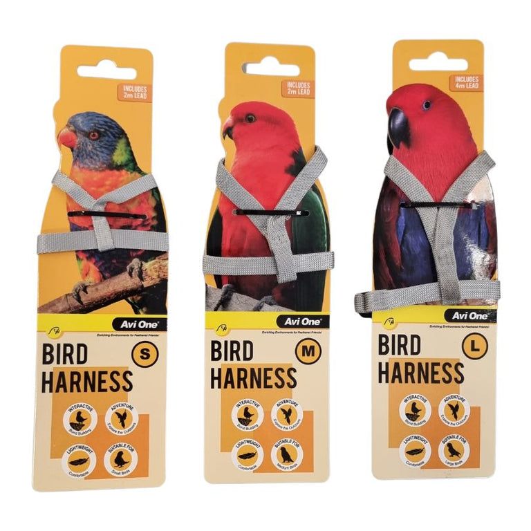 Bird Harnesses – Queenslander Aviaries