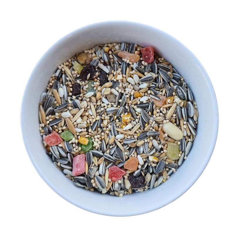 Basic Parrot Seed Blend – Queenslander Aviaries