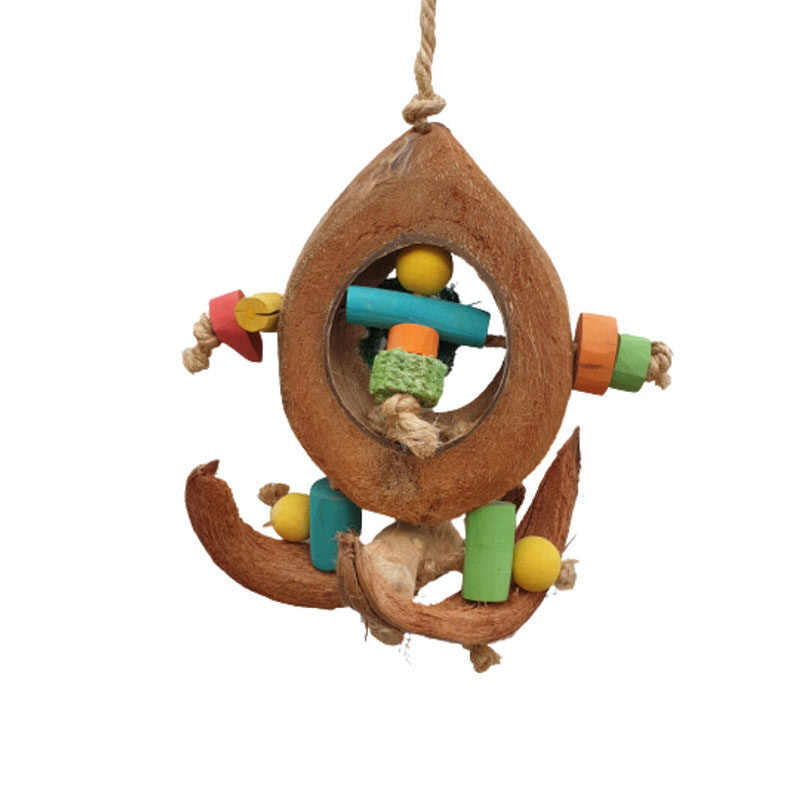 Coco Surf – Queenslander Aviaries