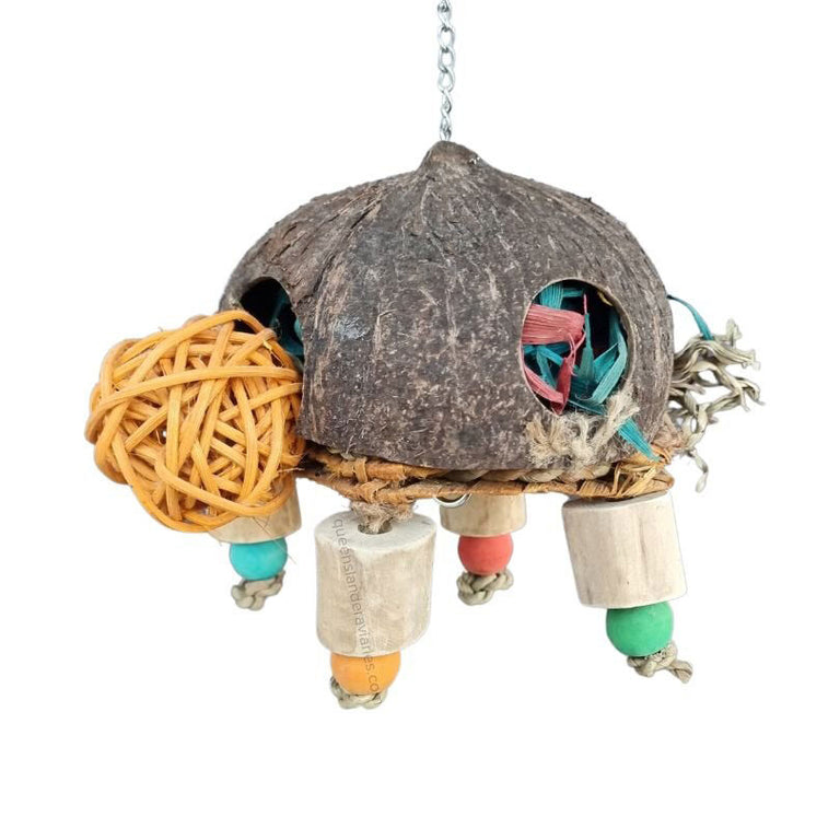 Foraging Toys – Queenslander Aviaries