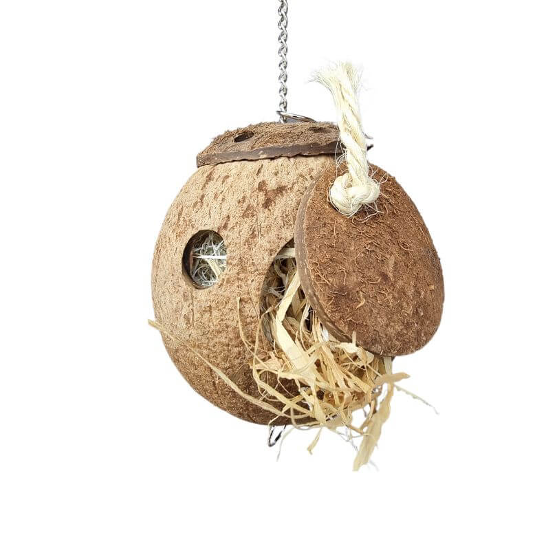 Go Nuts Forager – Queenslander Aviaries