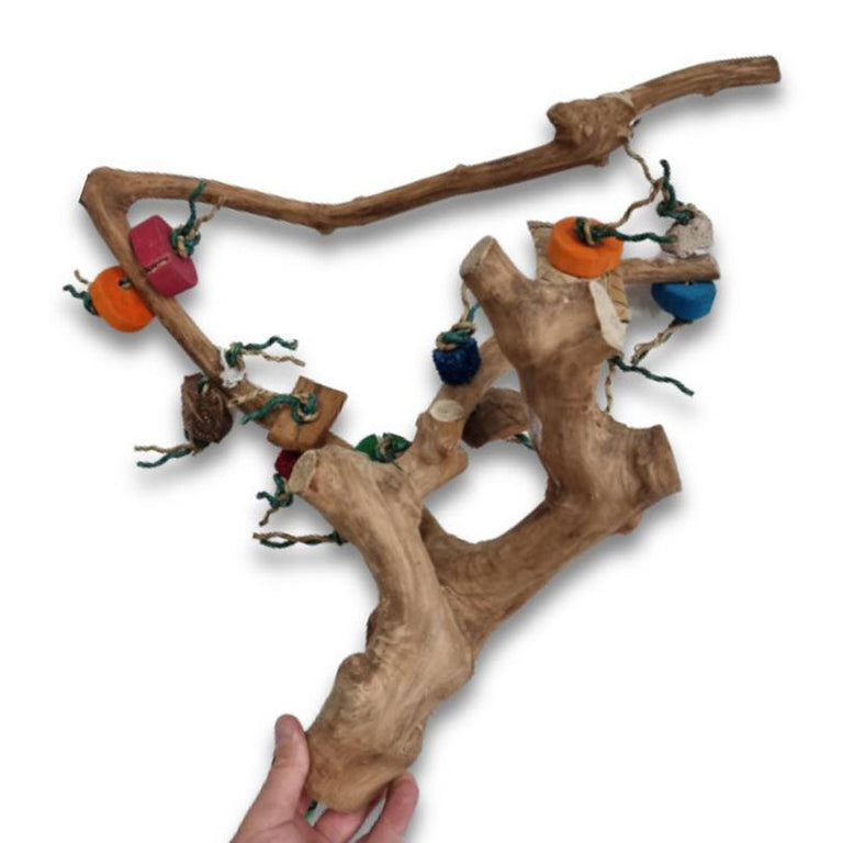 Wood Perches – Queenslander Aviaries