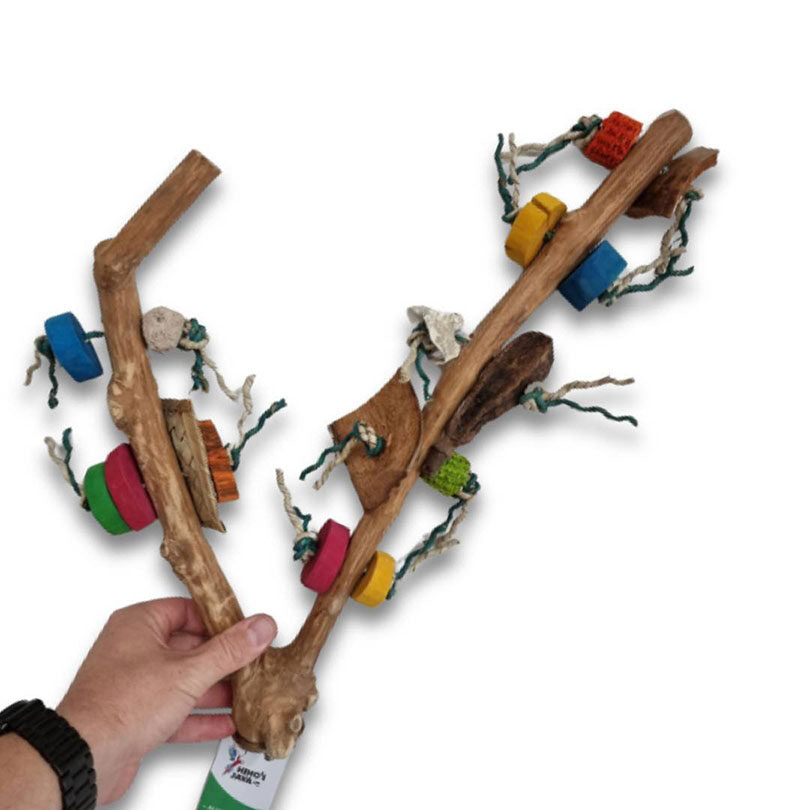 Wood Perches – Queenslander Aviaries