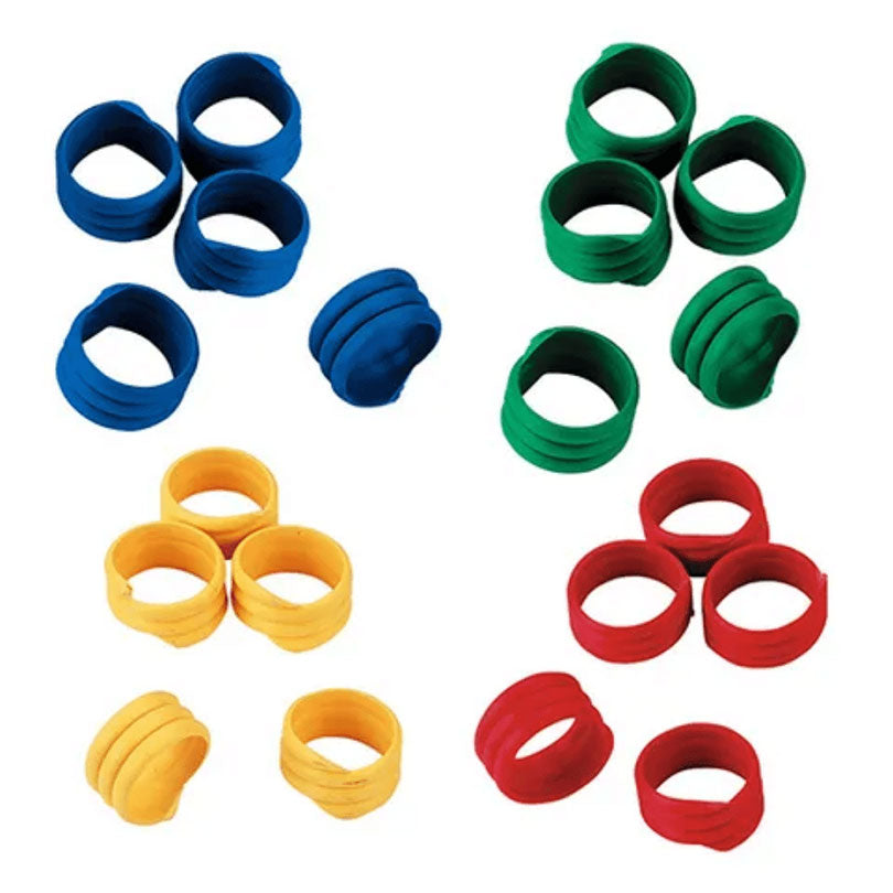 Leg Rings – Queenslander Aviaries