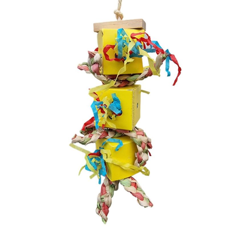 Budgie – Queenslander Aviaries