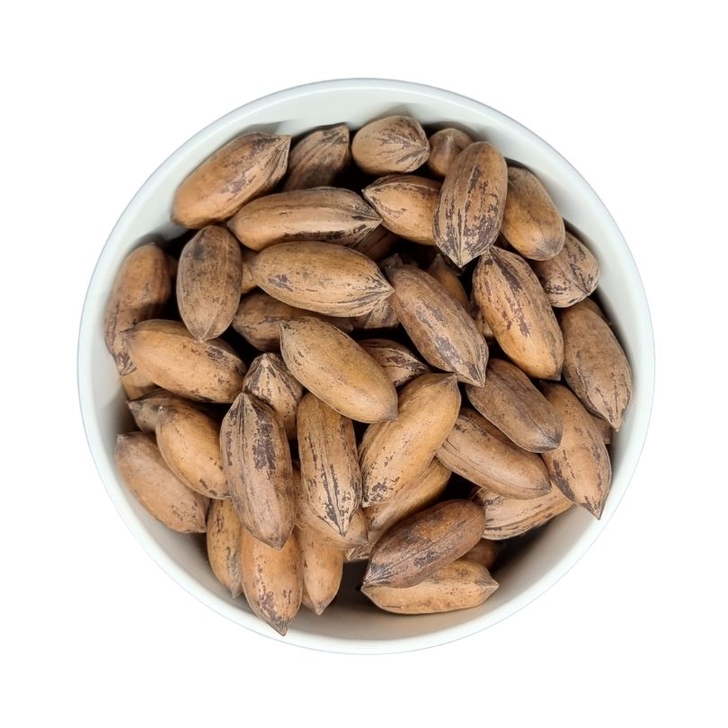 Pecans in Shell – Queenslander Aviaries